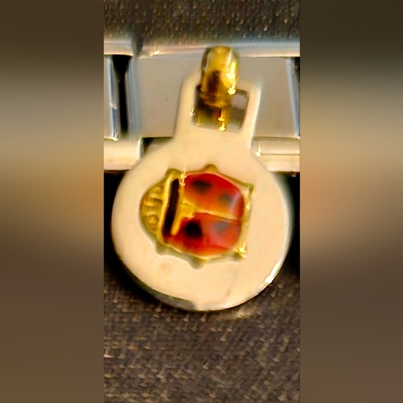 Italian charms | Jewelry | Ladybug Dangle Italian Charm | Poshmark
